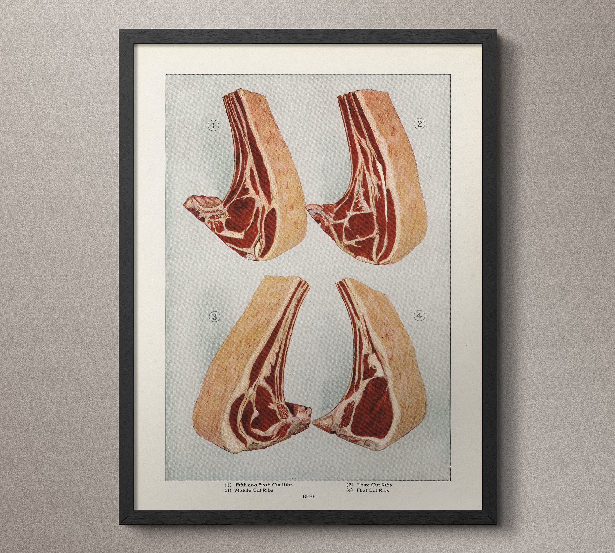 Vintage Butcher Cuts 4 – Art Circa
