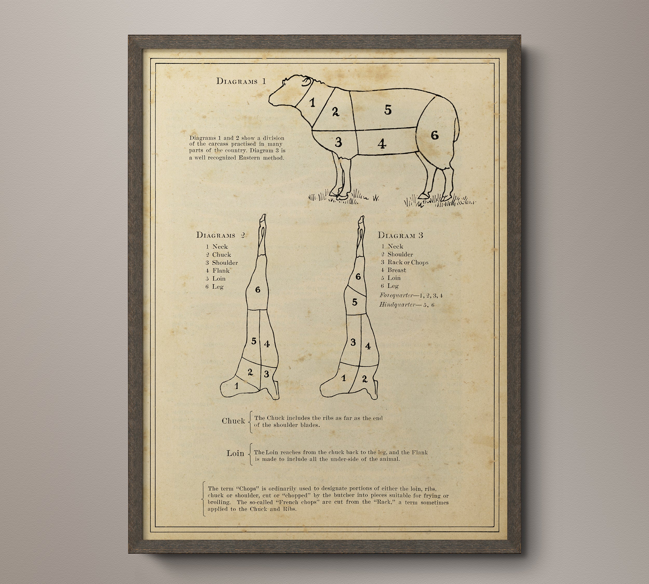 Vintage Butcher Chart - Sheep – Art Circa